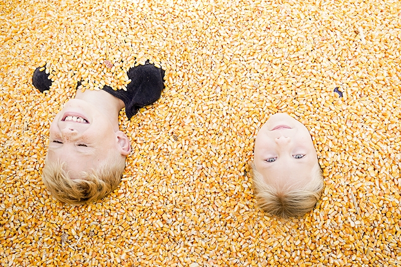 Morgan Maze | Dairy West